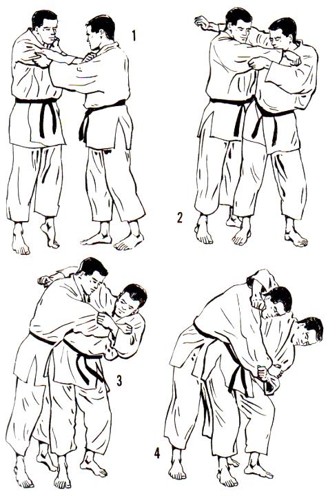 Judo Techniques