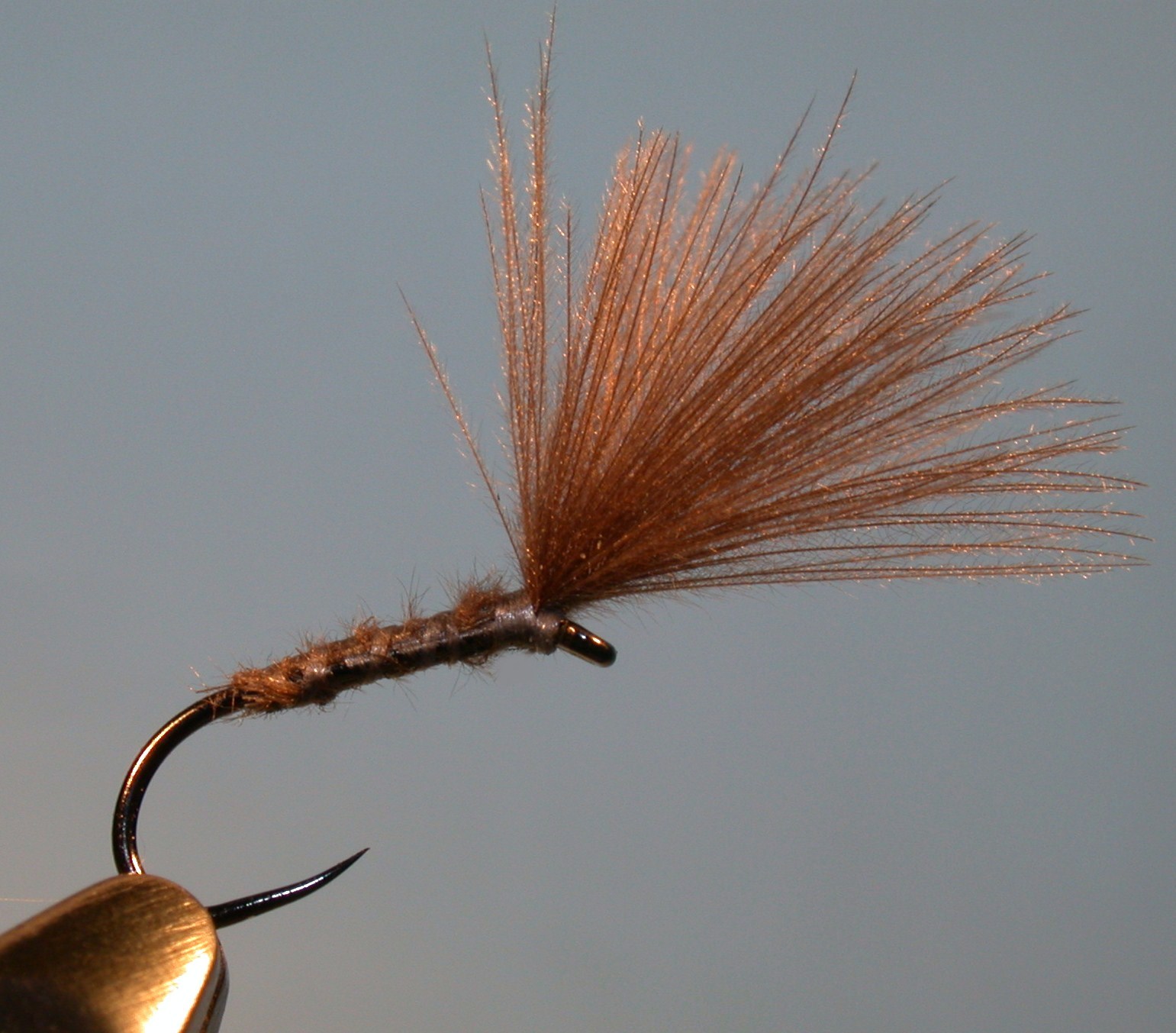 River Fly Box: Cold Weather Dry Fly