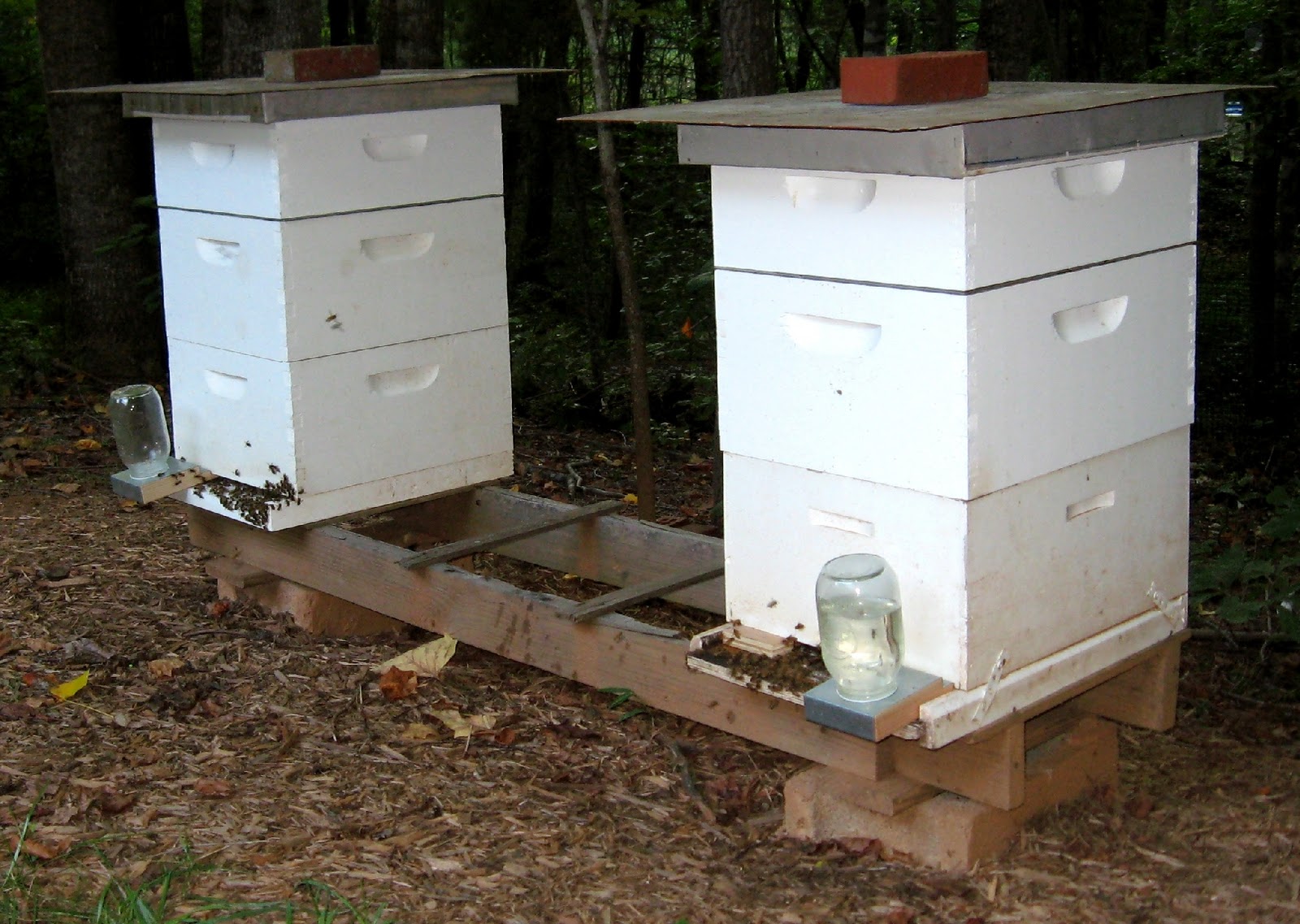 Beaver Creek Bees: Hive Stand