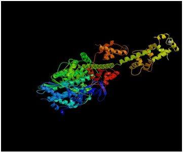 Ciencias Naturales Colegio Ciudad de Piendamó: NOVENO BIOLOGÍA-QUÍMICA