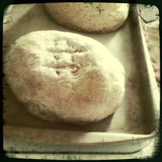 riddlelove: This Afternoon I...