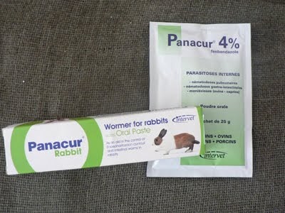 La dure vie du lapin urbain: Petite cure de panacur