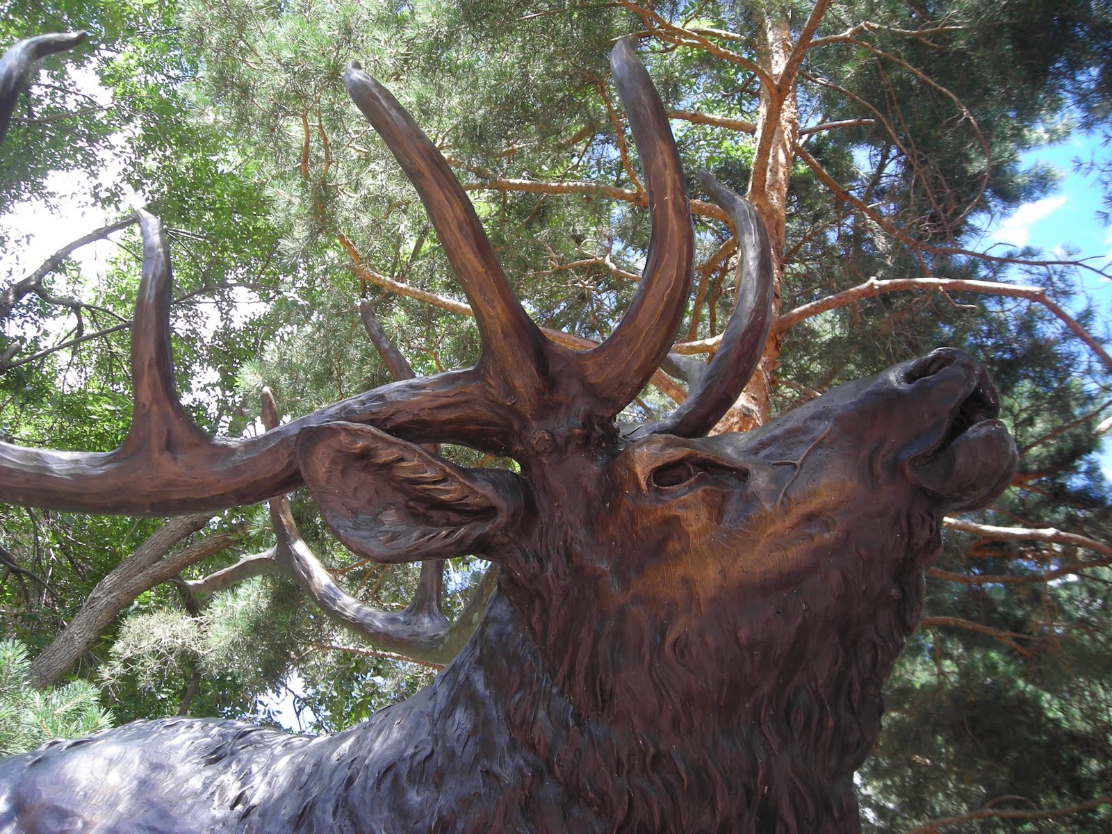s t a n d i n g w a t e r: Boulder Red Rocks: The Deer Up Here