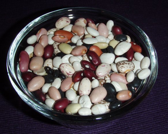 The Incorrigible Cook Strikes Again: Mixed bean chili