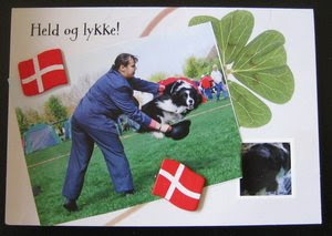 Dog Dancing Dagbog: Held og lykke kort
