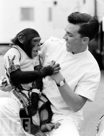 cryptonaut-in-exile: In Praise of Ham the Astrochimp - Photo Gallery - LIFE