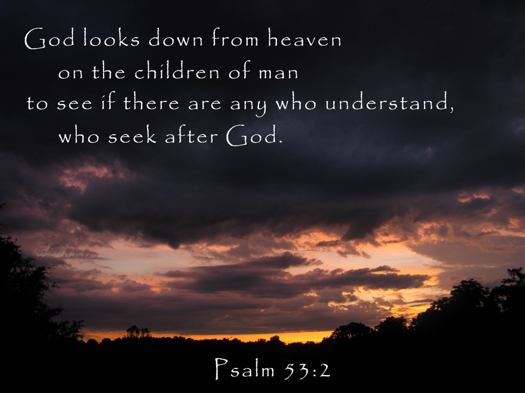 Glimpses of Creation: Psalms