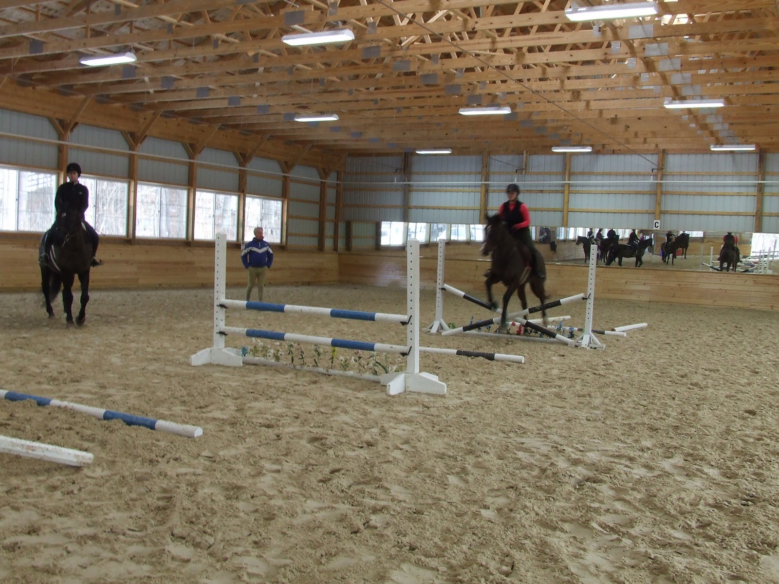 Horse Jump Grid at James Browning blog