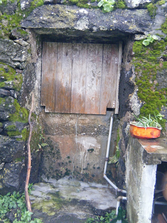 Oli's Adventures: TRIP TO PICO ISLAND, AZORES.