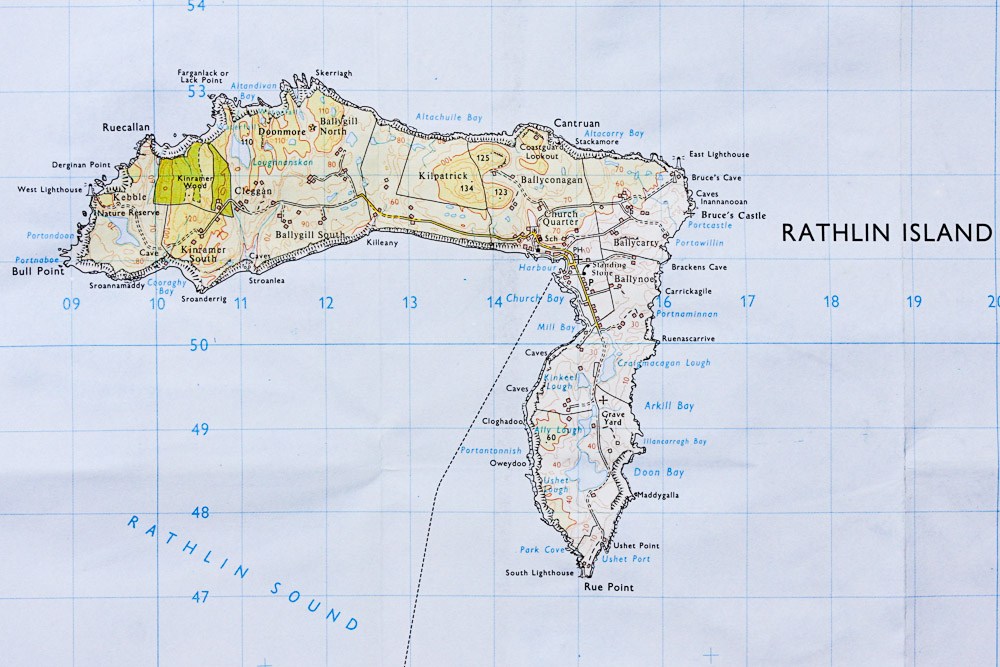 Peregrine's Bird Blog: Rathlin Island