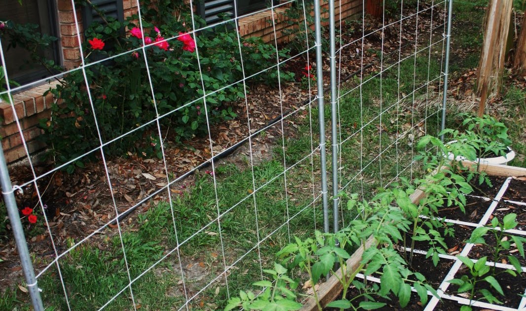 My New 30: Vegetable Garden Update - The Vertical Supports