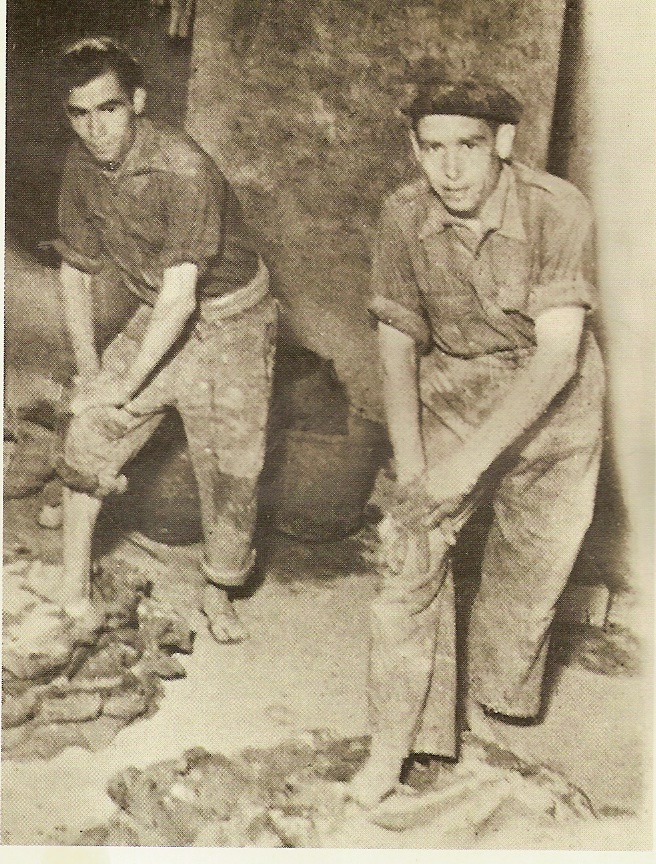 >LA ALFARERÍA DE AGOST | alicantevivotest