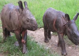 Things To Do In Nepal: new and best tourist destination in Nawalparasi ...