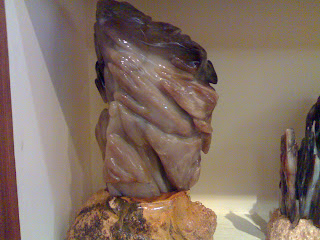 Galery Fosil Kayu Dan Batu