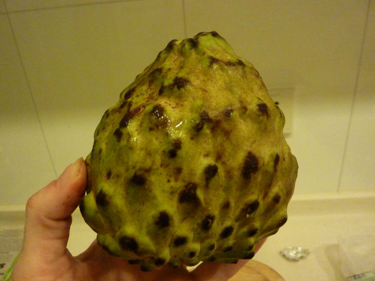 Speculations from China: Mystery Fruit