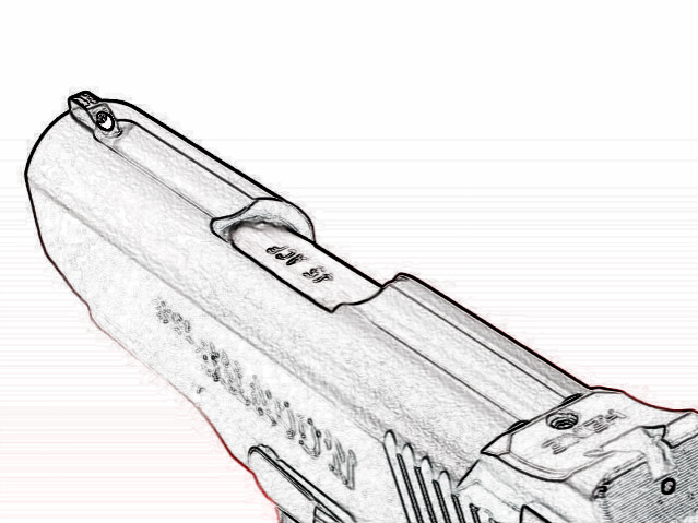 Average Joe's Handgun Reviews: STI Shadow