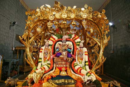 Tirupati Packages: Fourth Day Brahmotsavam Celebrations is Kalpavriksha ...