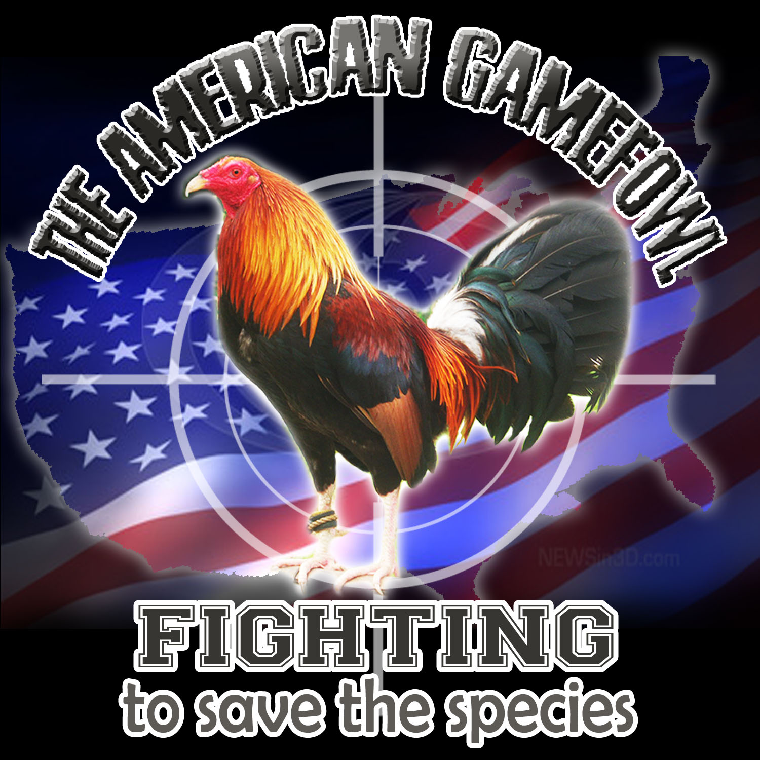 Escribawerkz: Your Total Multimedia Solution: ARTWERKZ PARADE:DESIGNS ...