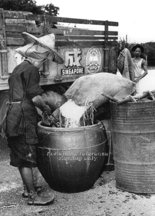 Blog To Express: Tribute to Samsui Women of Singapore