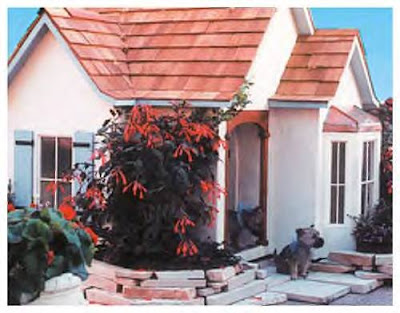 AJORBAHMAN'S COLLECTION: FANCY DOG HOUSES
