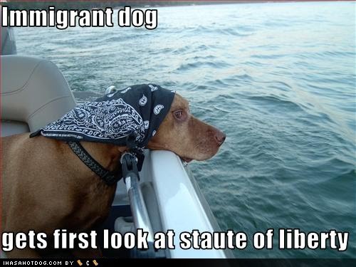 Immigration growth: Song analysis about Immigration (Icky Thump by the ...