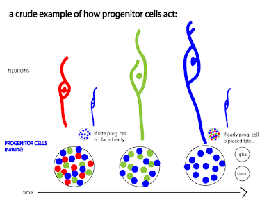 What I'm doing: Developmental Neurobiology: A primer.