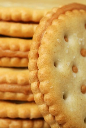 Common Threads Blog: Circle Crackers
