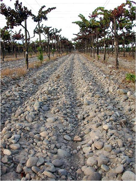 A importância da Geologia: Aluviões