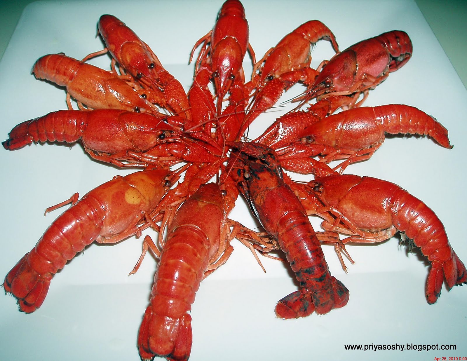 These are a few of my favourite things....: Crawfish & Crab Roast