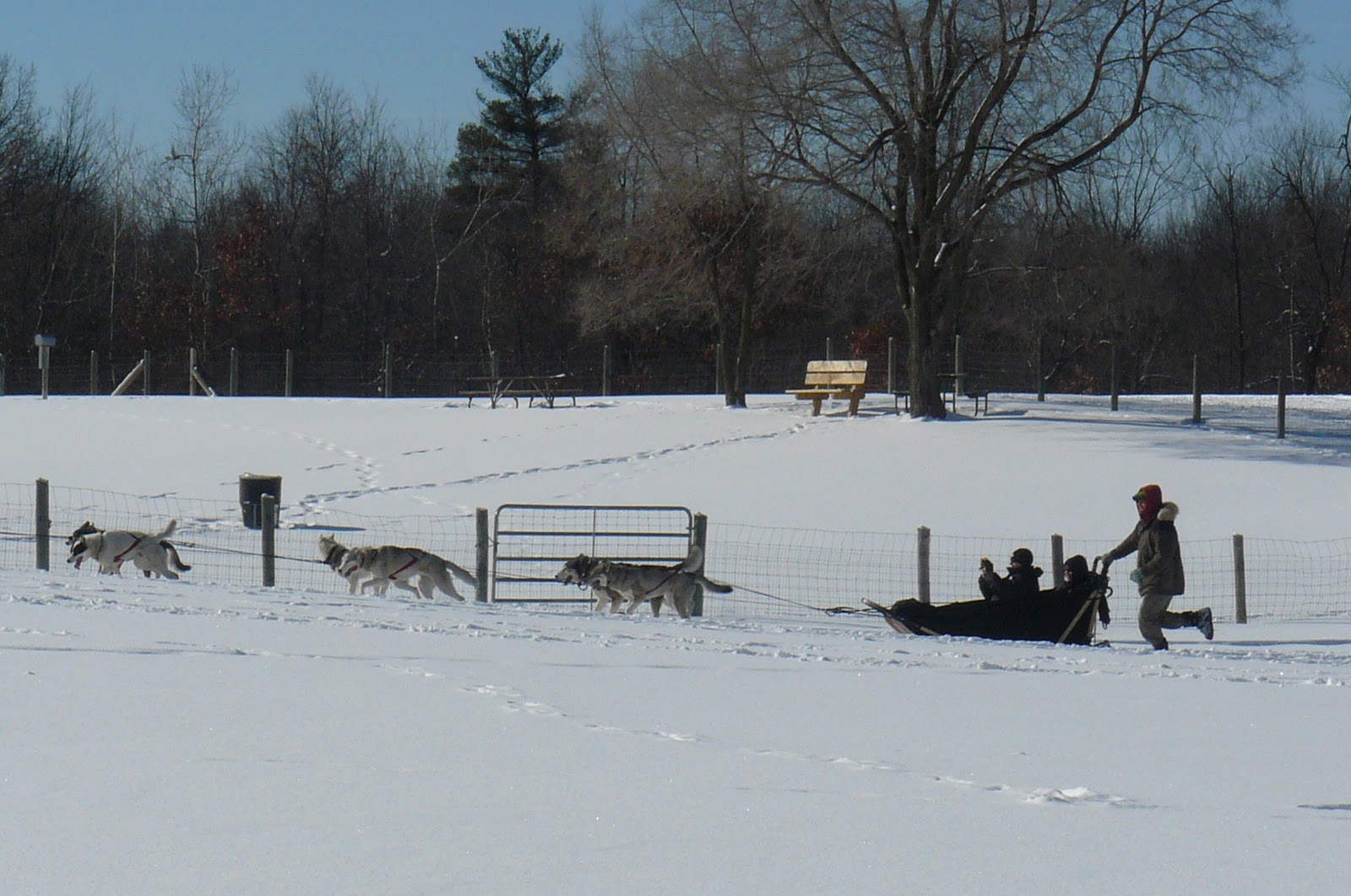 Snow Bound Kennel