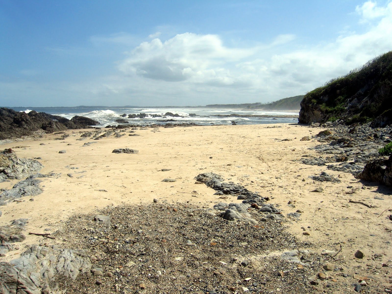 The Wild Reed: Yaegl Country