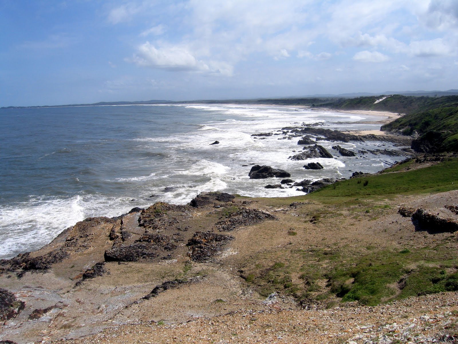 The Wild Reed: Yaegl Country