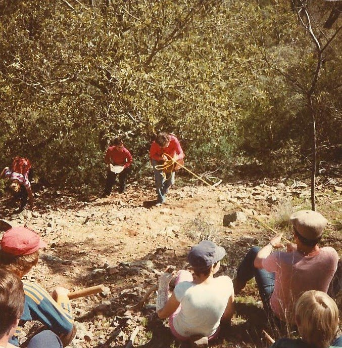 The Wild Reed: Journey to Gunnedah