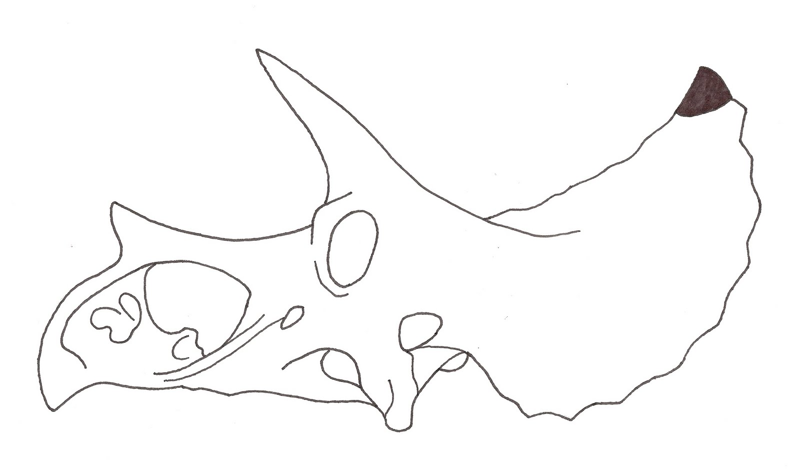 When Pigs Fly Returns: Torosaurus latus is not Triceratops sp.