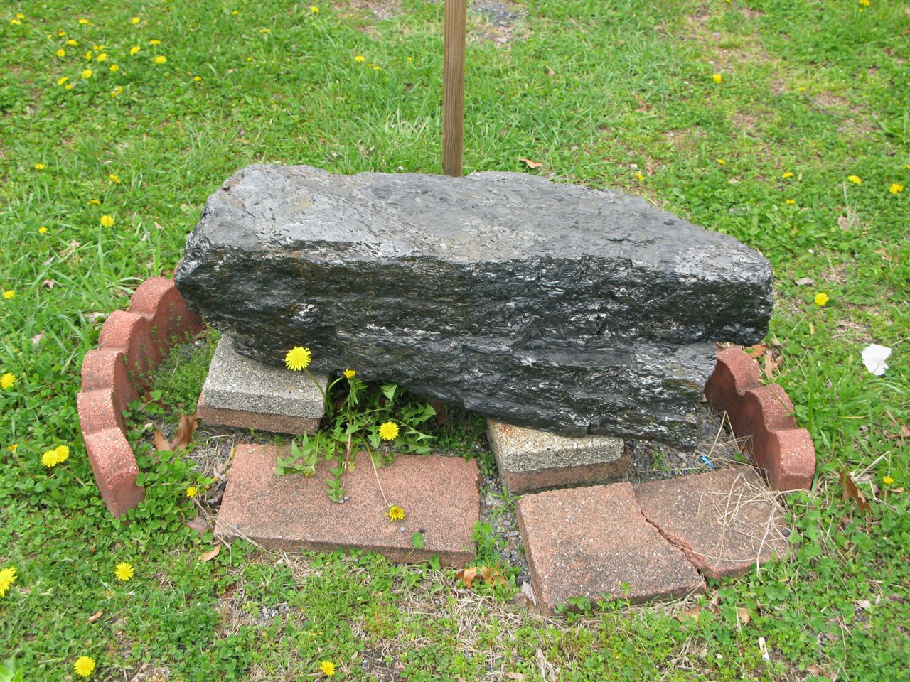 Florida Coal Cracker Chronicles: Florida Coal Cracker Returns to His Roots