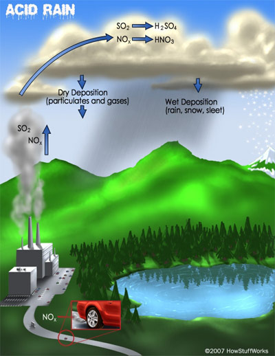 How does acid rain effect the enviroment?: What is acid rain?