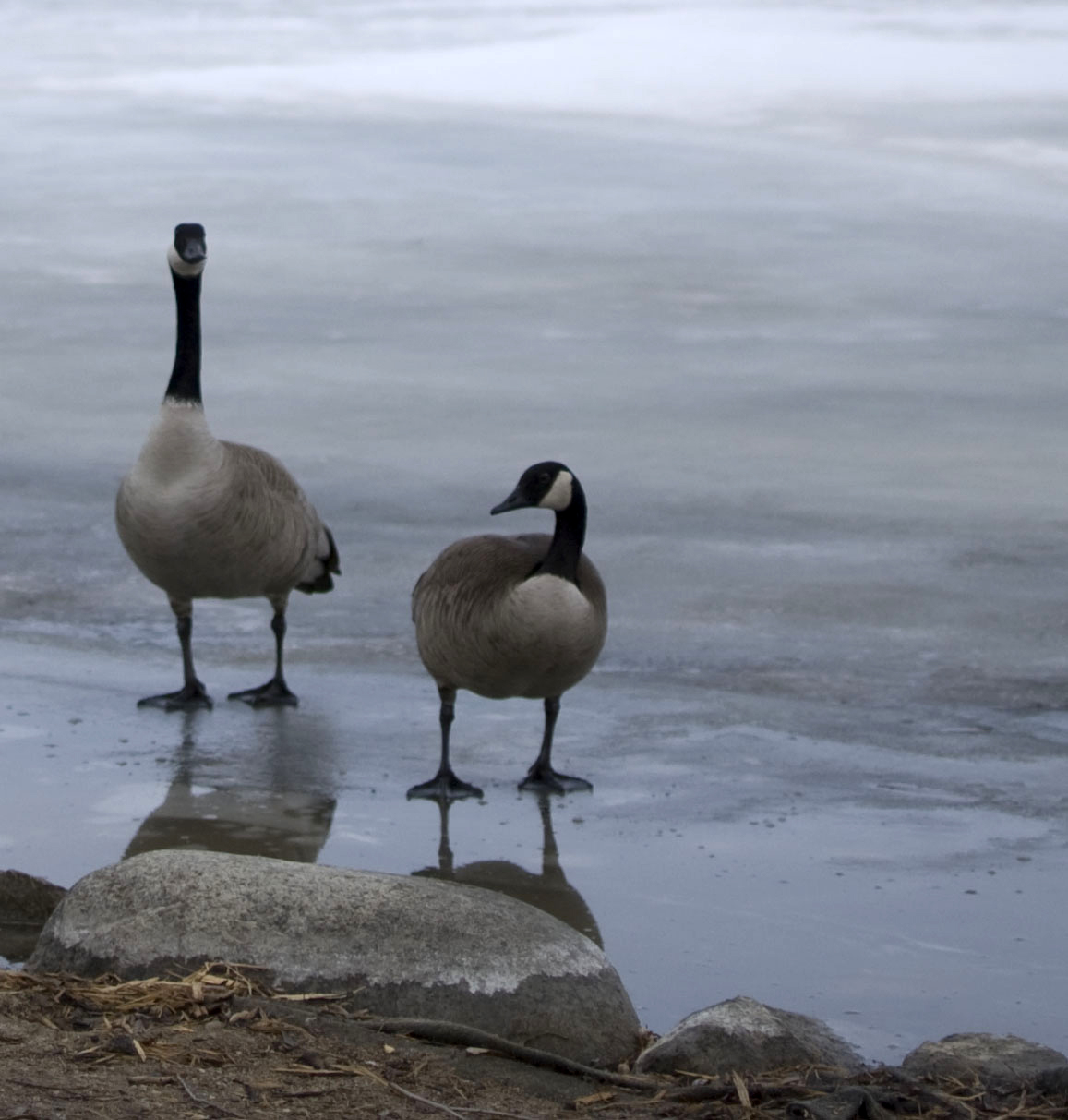 Saskatoon Photographer - Juli Labrecque: Saskatoon Photography - Spring ...