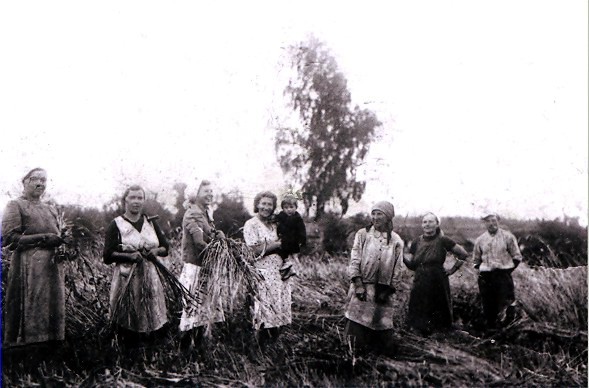 Huta Pieniacka - Alchetron, The Free Social Encyclopedia