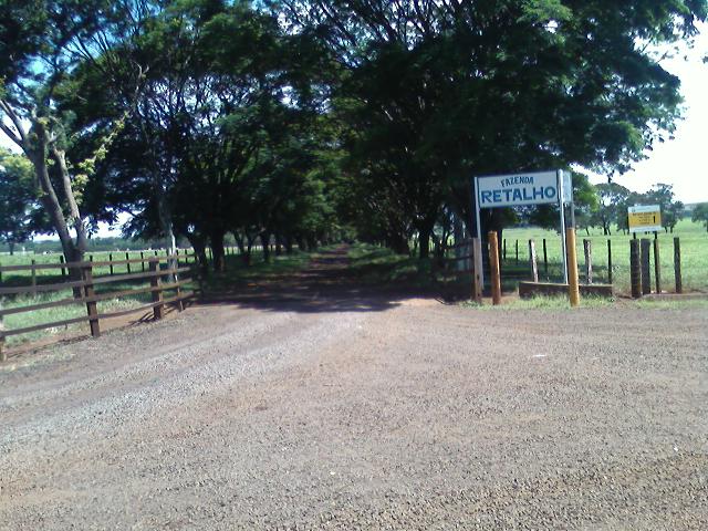 Viagens E Passeios: Viagens a Morro Agudo-Sp