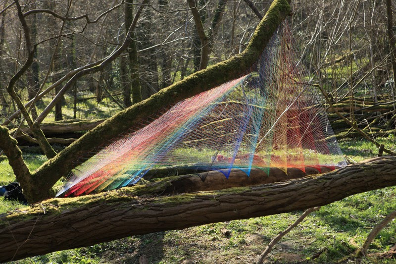 Lady of 'The Arts': Beams In The Forest- Sébastien Preschoux