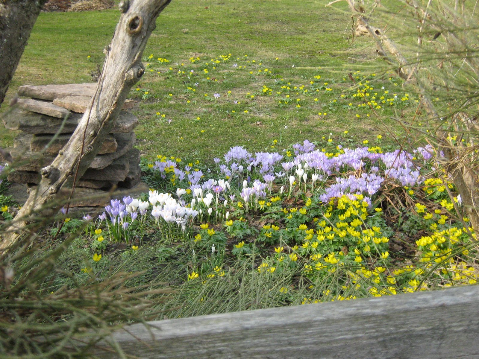 Eating in Denmark: Early Spring in Denmark