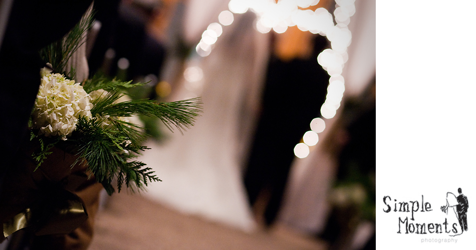 Simple Moments Photography: Tierney & Casey: Old Red Courthouse