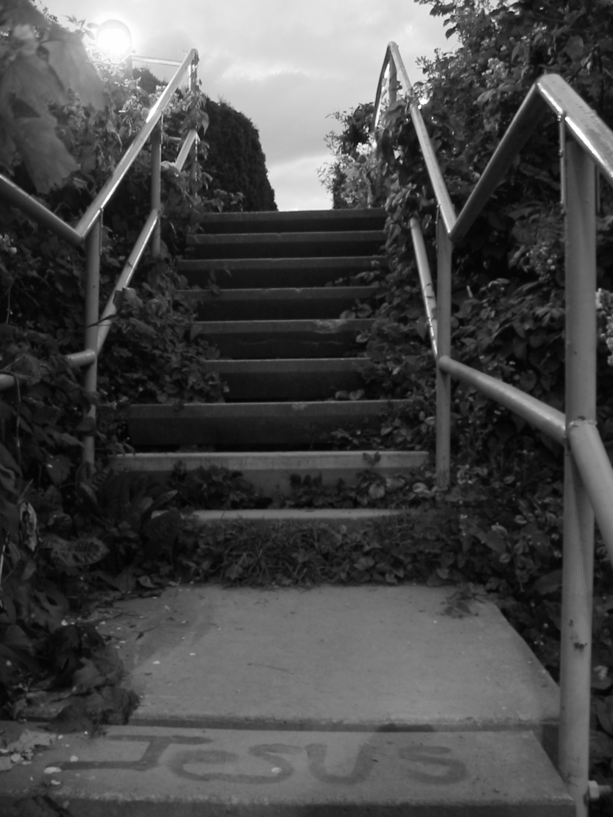 real steps: Why Real Steps?