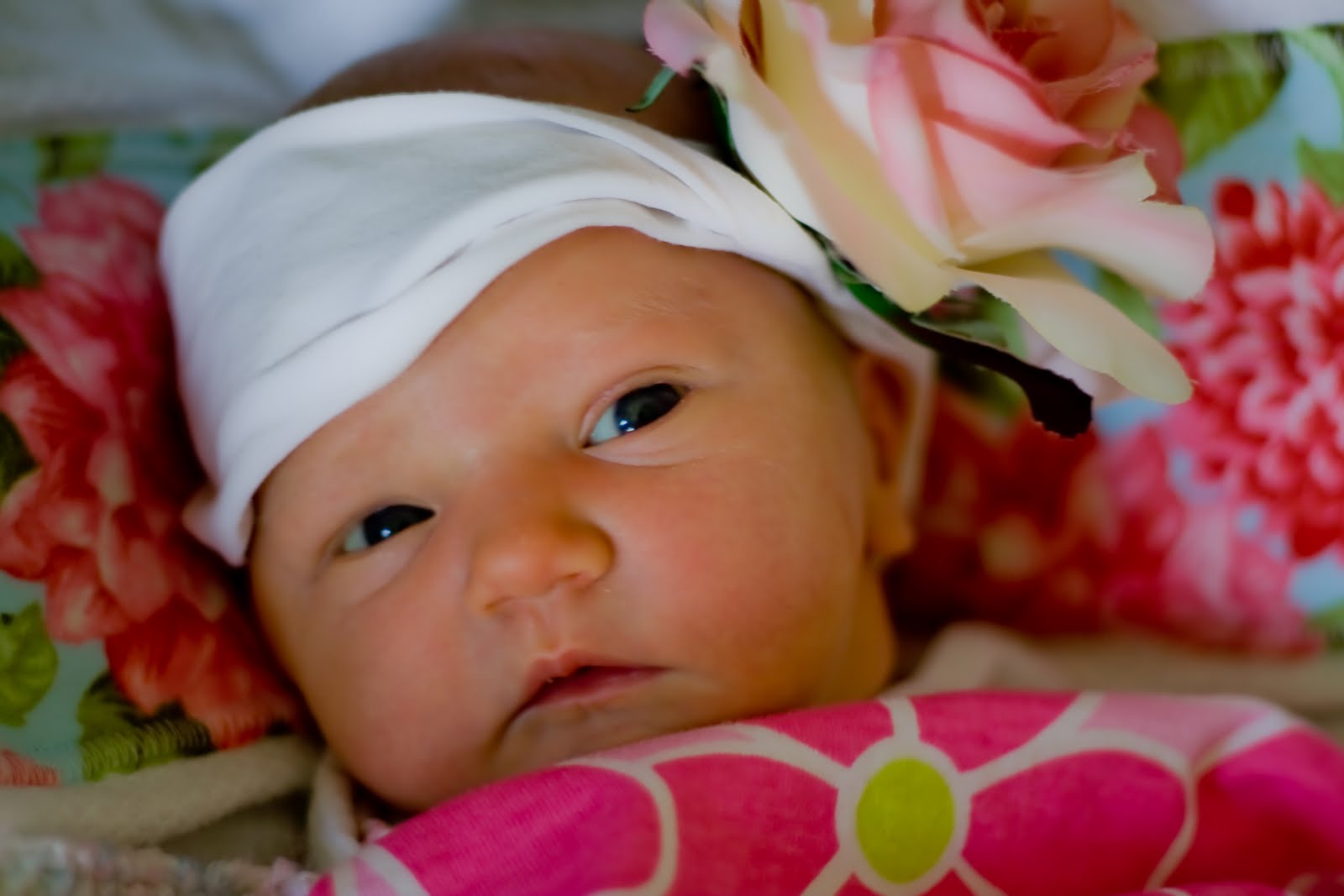 Jane, Jack, and Lulie