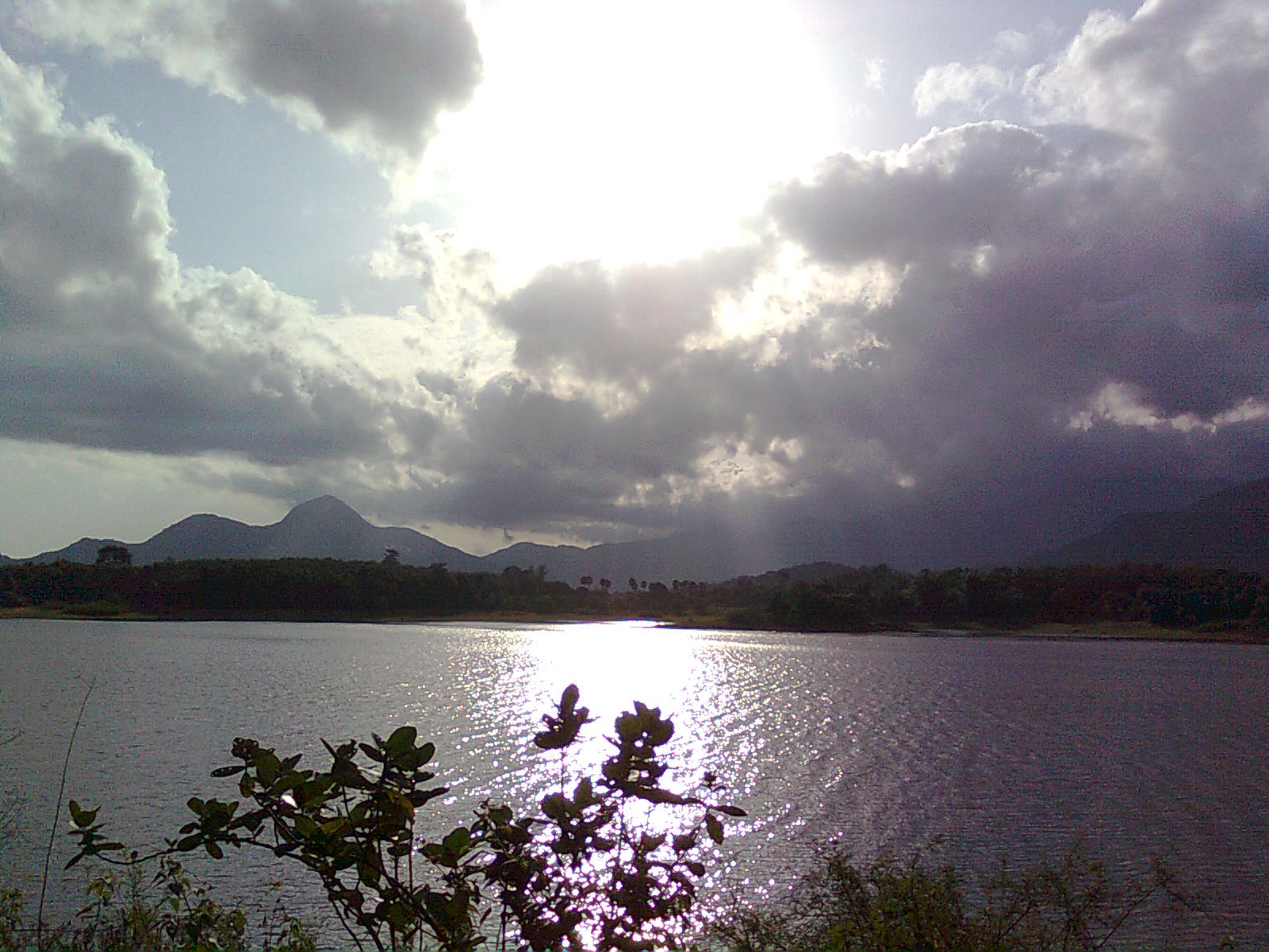 MY JOURNEYS: ANAKKAL a place near The MALAMPUZHA IN PALAKKAD