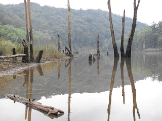 Flatwater Kayaking in PA: Mahoning Creek Lake: Additional Pics