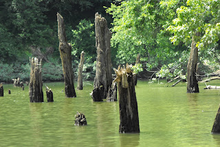 Flatwater Kayaking in PA: Mahoning Creek Lake: (Milton Loop Boat Launch)