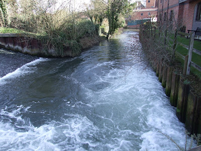 Canoeing and Kayaking on The River Kennet: 1. The Kennet through Newbury