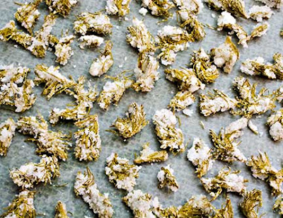 Mediterranean Cooking in Alaska: How to Harvest Spruce Tips with ...