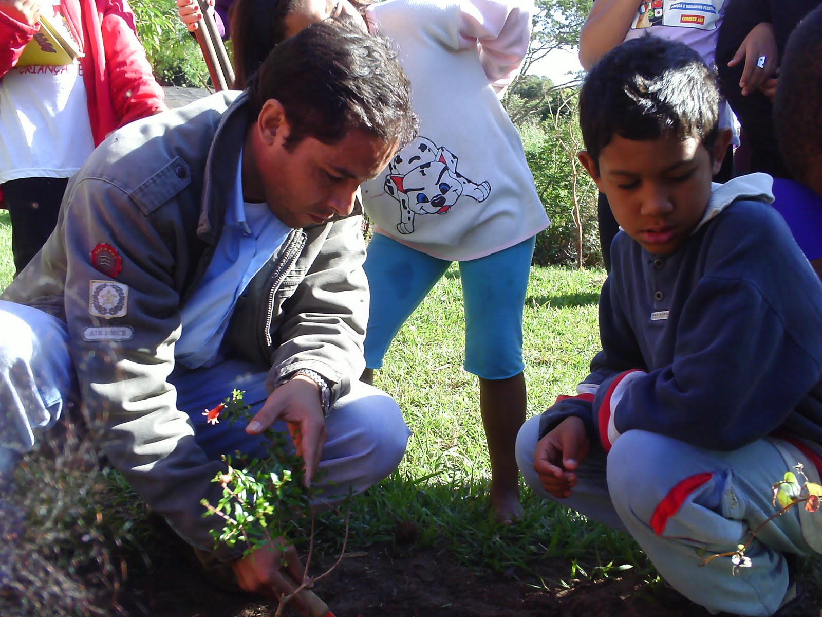 JARDIM: Romã e Quaresmeira-Rasteira.